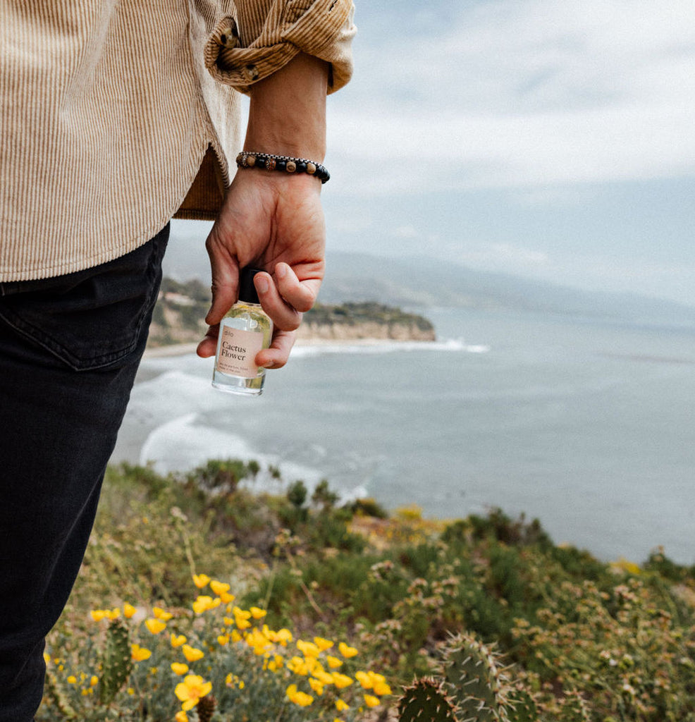 dilo homepage - design - candles - fragrance