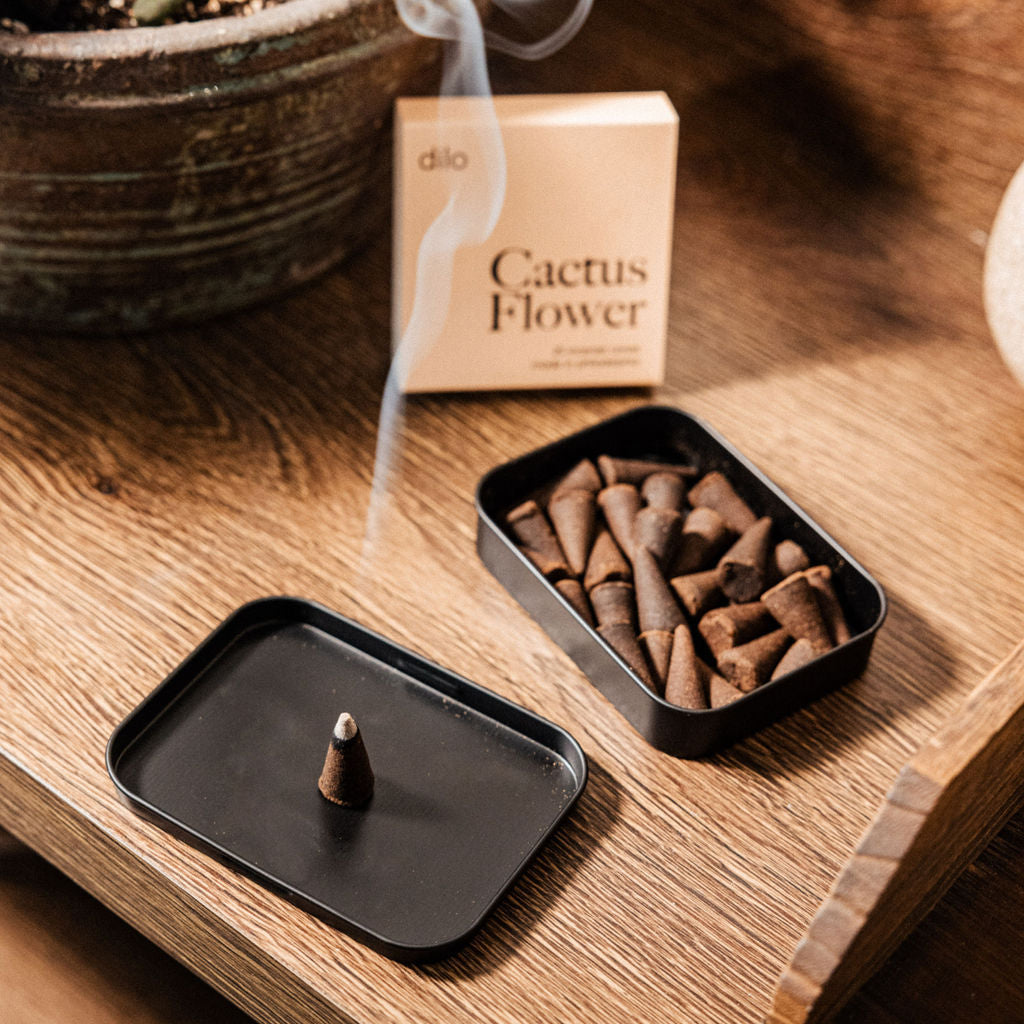 dilo homepage - design - candles - fragrance