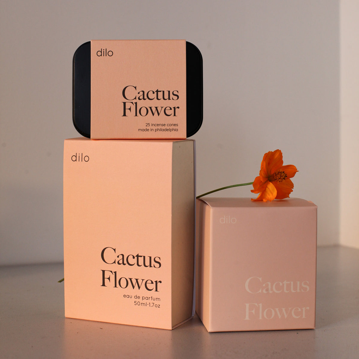 The Cactus Flower Complete Set – dilo